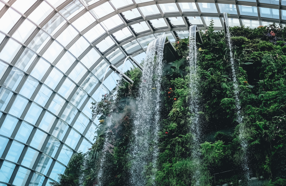 Karin Frick beschreibt das neue Zeitalter der Biophilie