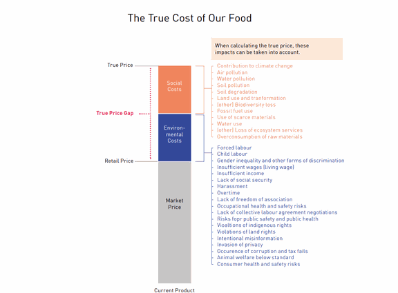 The true cost of our food